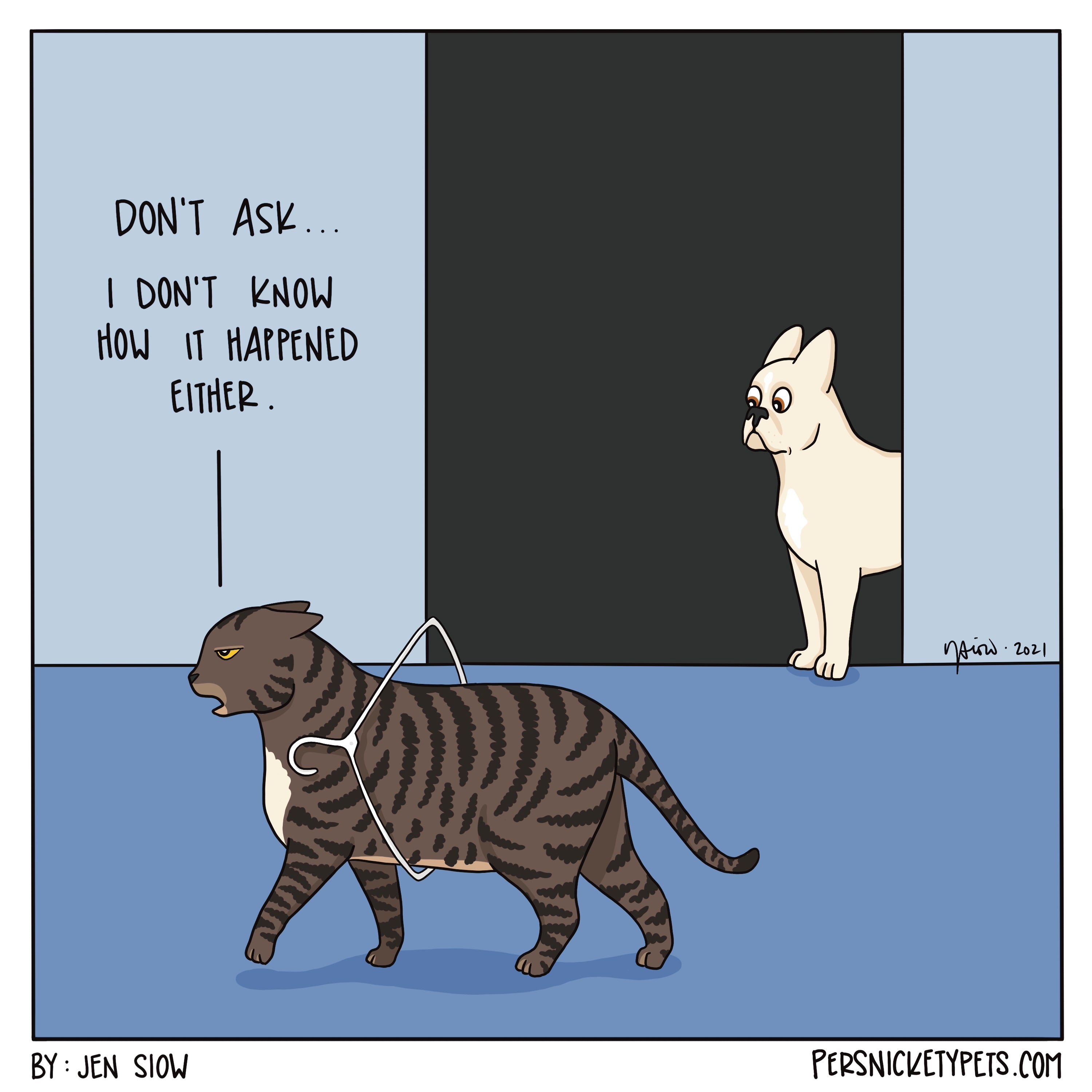 Hung Up – Persnickety Pets